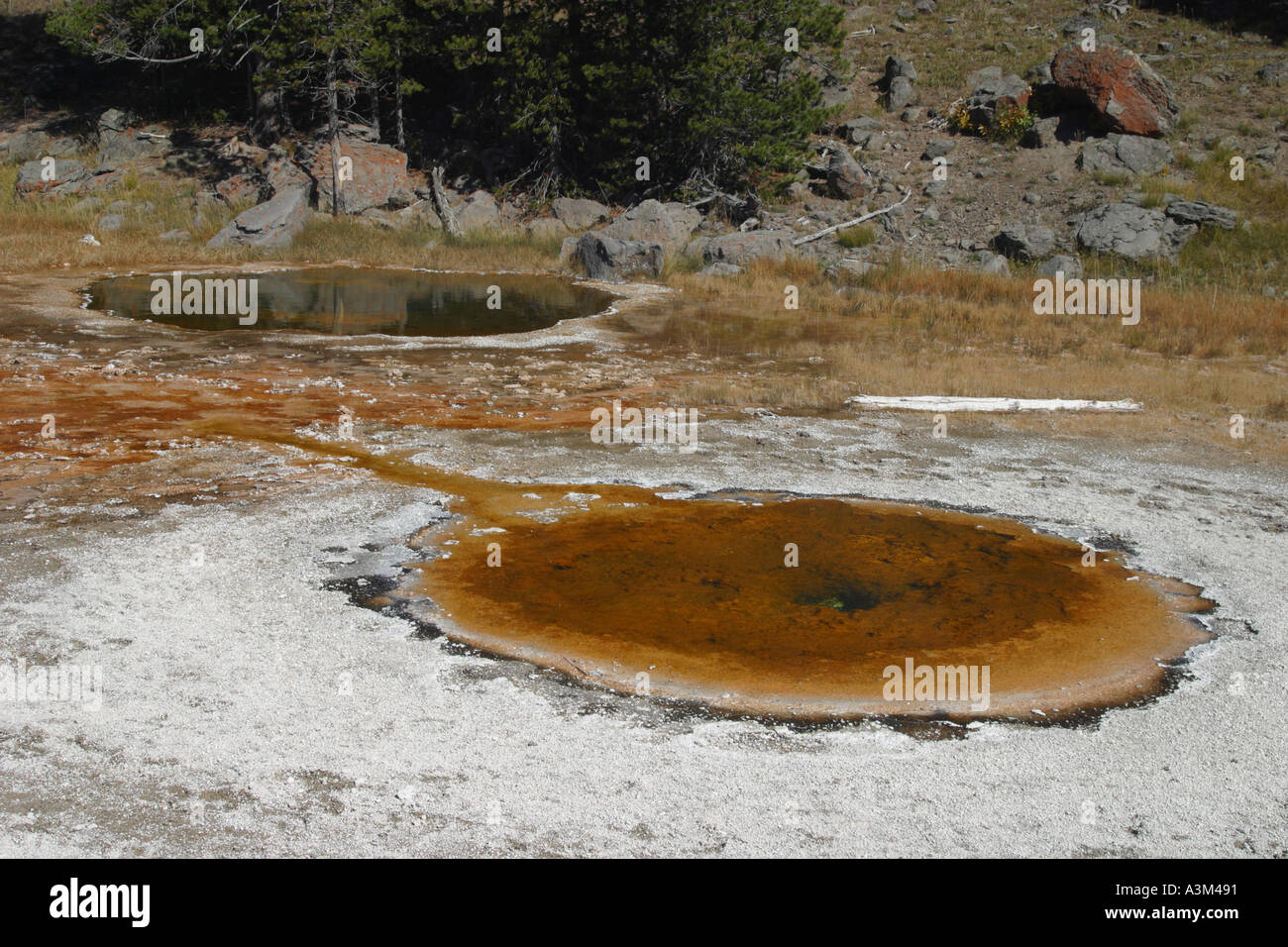 Hot Spring with brown coloured mineral oxides Upper Geyser basin ...