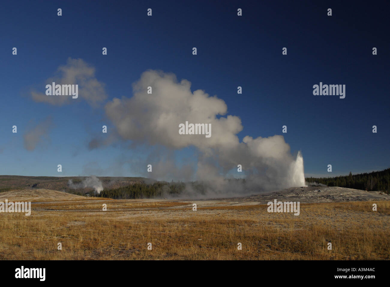 The Eruption of Old Faithful water and stream flow up to 110 185 feet ...