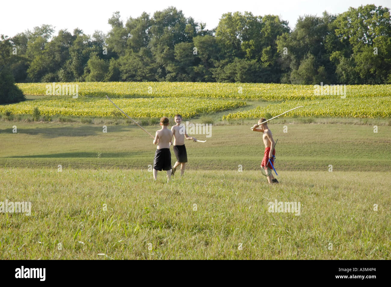 Boys play swords hi-res stock photography and images - Alamy
