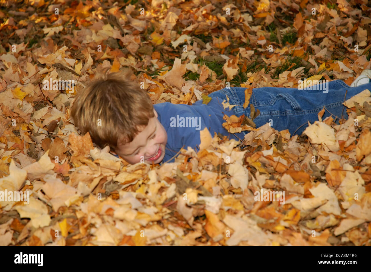Boy playing in leaves Stock Photo - Alamy