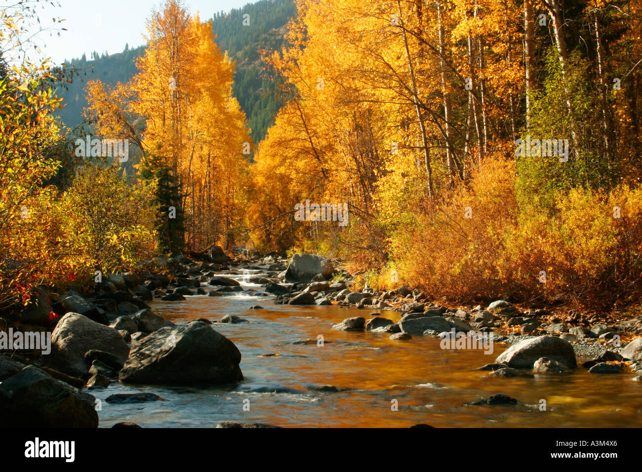 Peshastin hi-res stock photography and images - Alamy