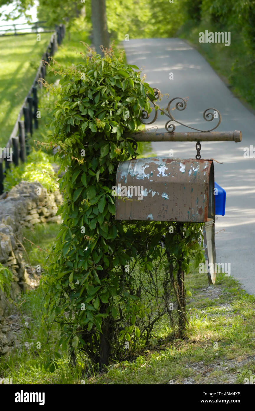 Ivy covered rural mailbox Stock Photo - Alamy