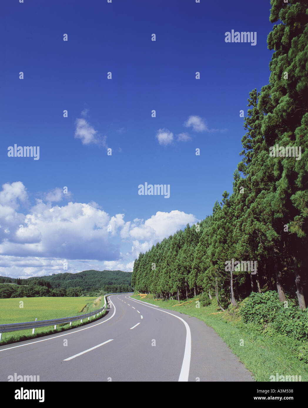 Road Nature Sky Trees Highway Clouds Forests Stock Photo - Alamy