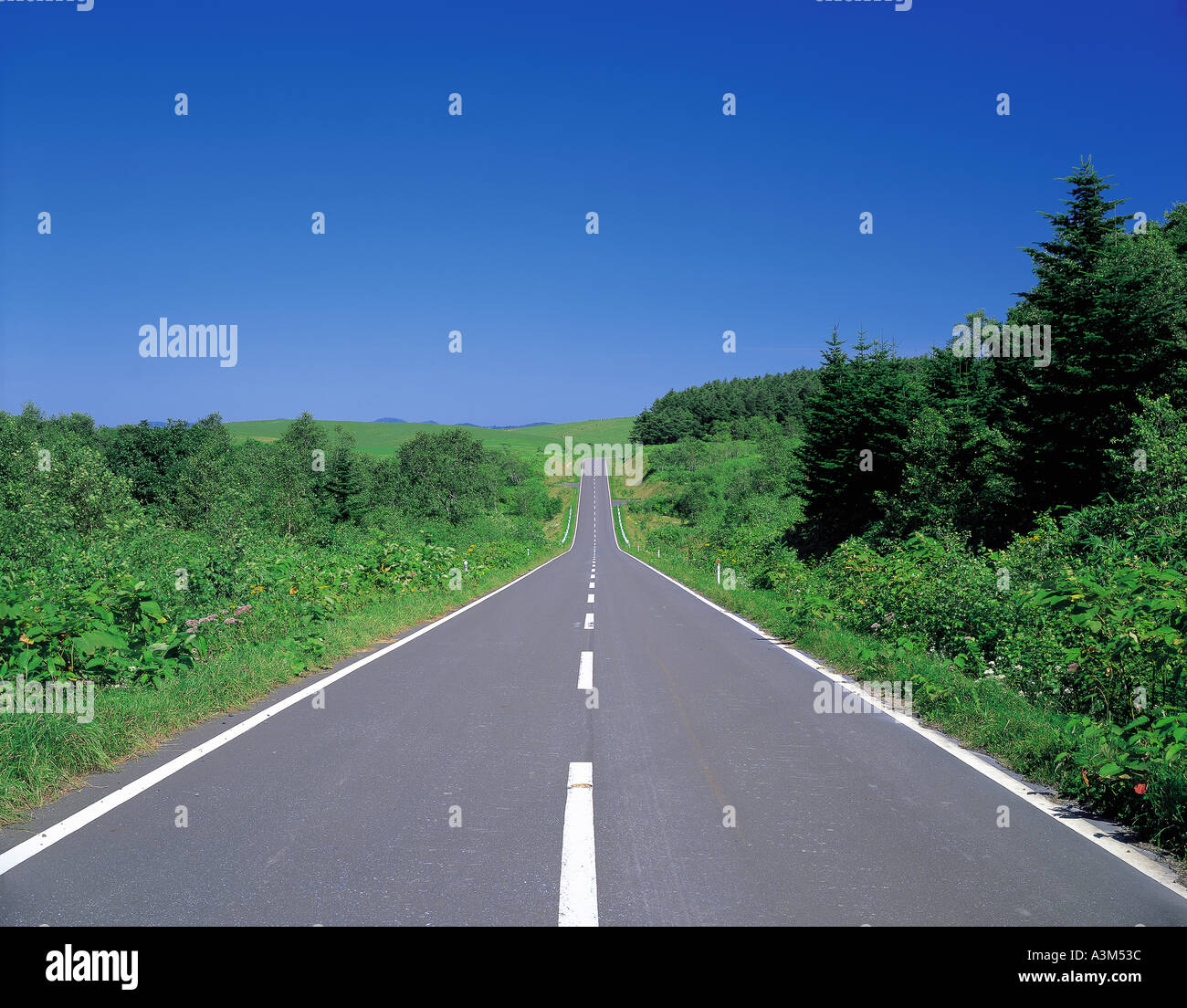 Road Nature Sky Trees Highway Stock Photo - Alamy