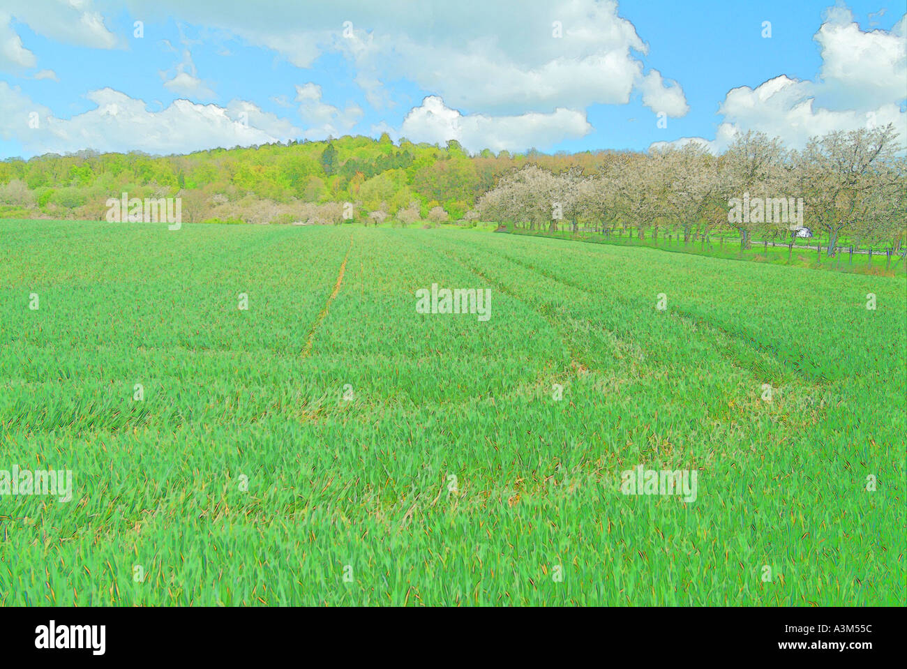 nature art green fields in the springtime Stock Photo - Alamy