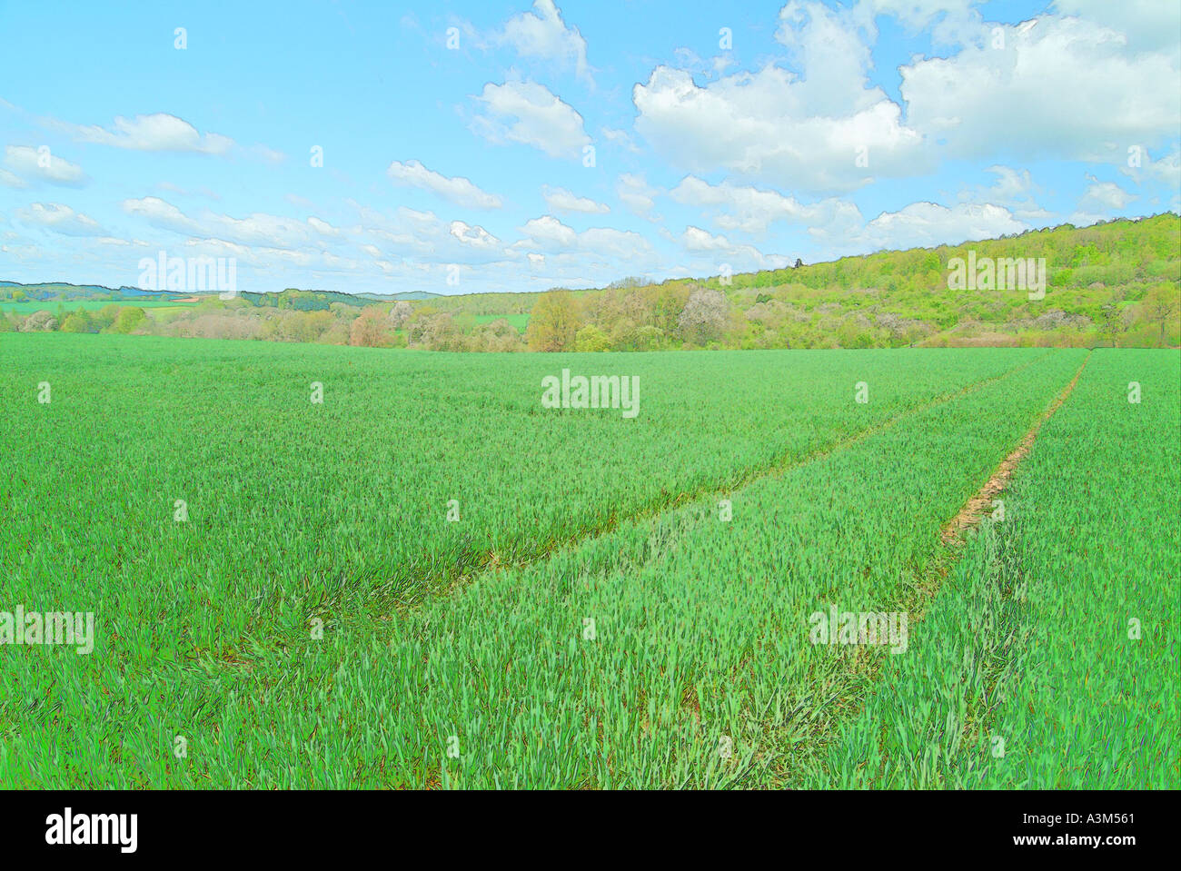nature art green fields in the springtime Stock Photo - Alamy