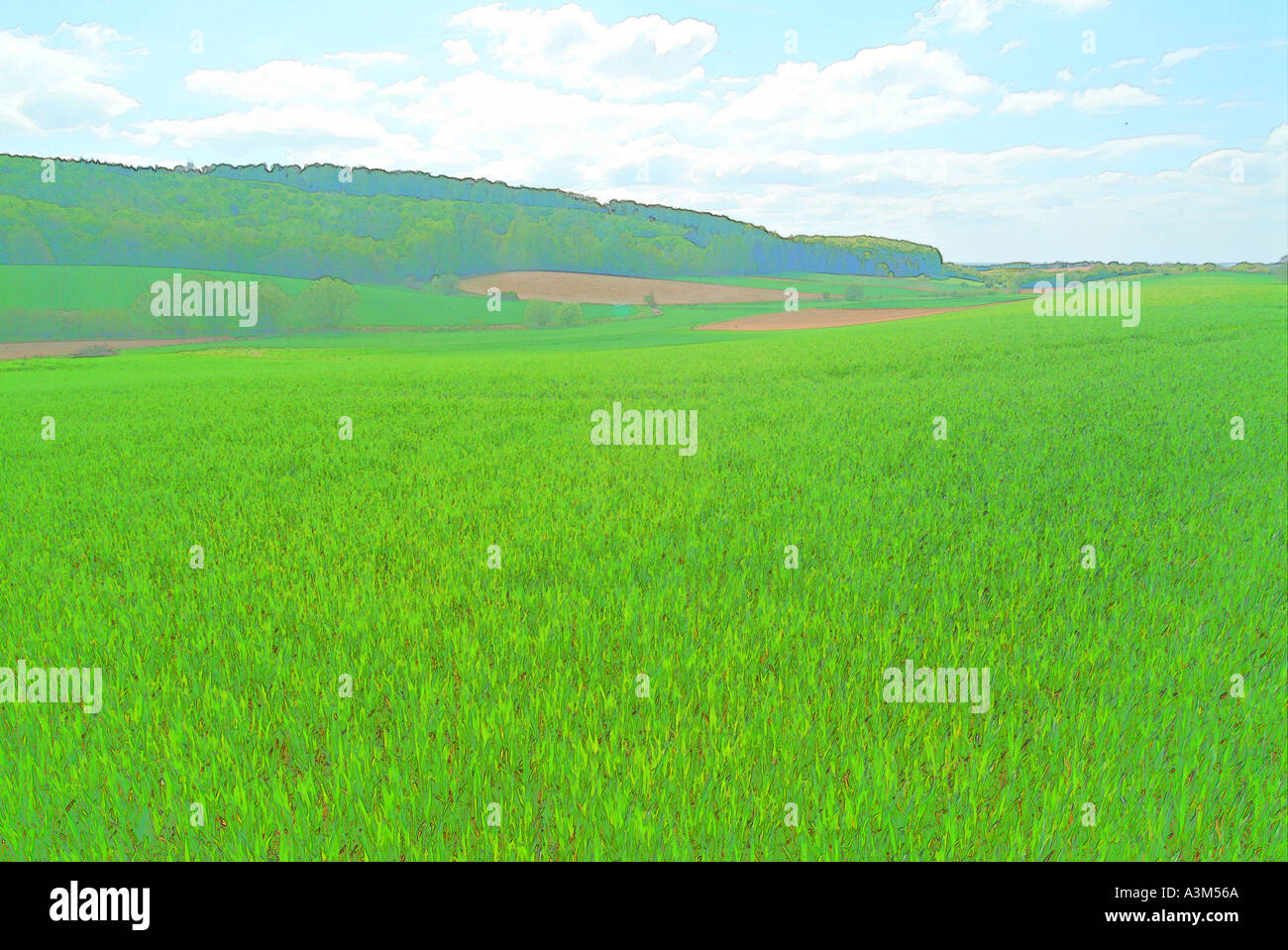 nature art green fields in the springtime Stock Photo - Alamy