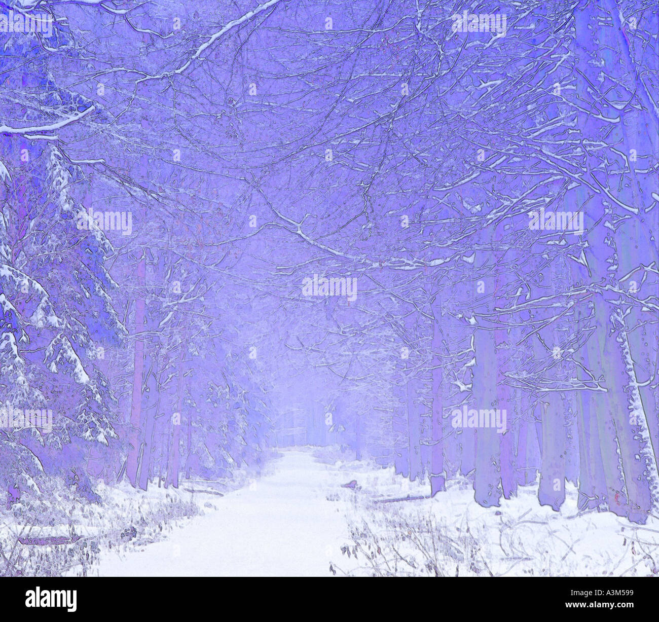 nature art forest path in the winter Stock Photo - Alamy