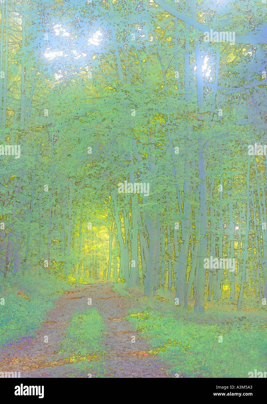 nature art forest path in the springtime Stock Photo - Alamy