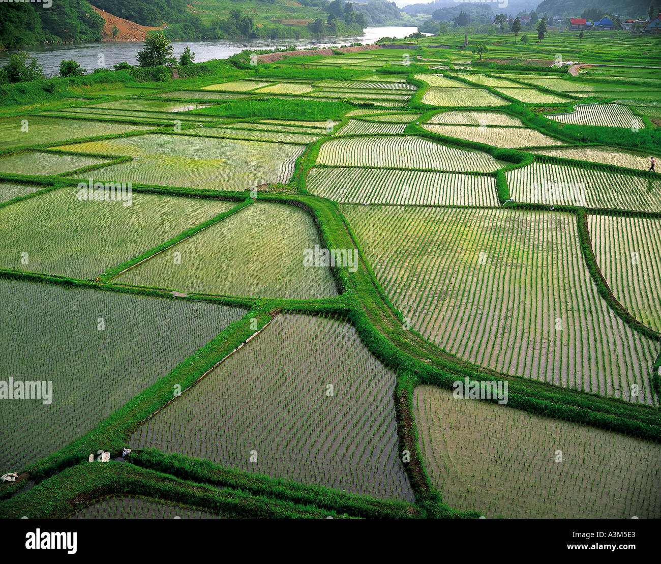 Nature Path Trees Fields Water Crops Rivers Stock Photo - Alamy