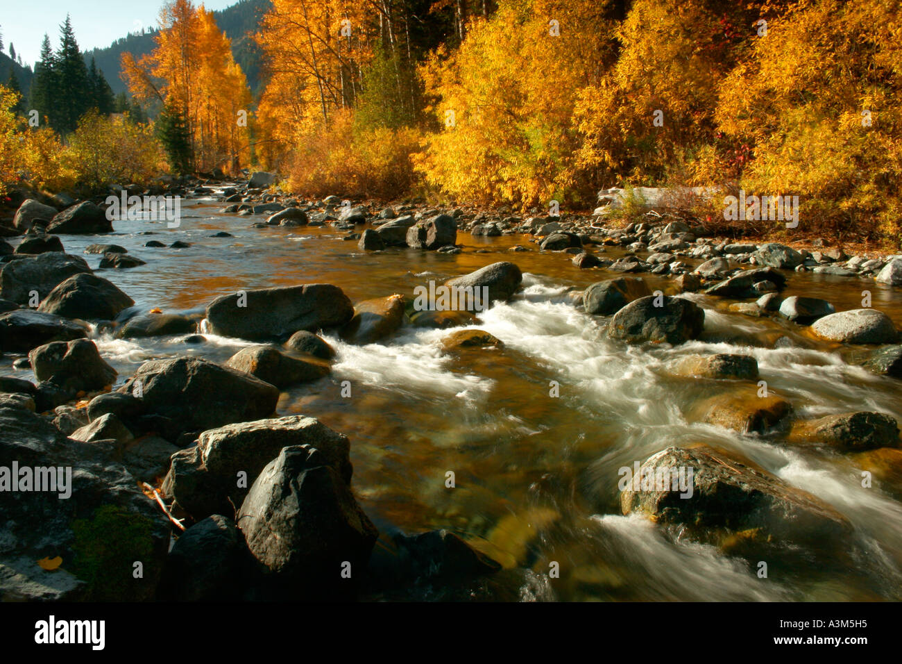 Peshastin hi-res stock photography and images - Alamy