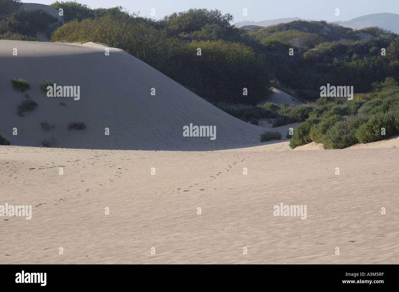 Oceano Sand Dunes Stock Photo - Alamy