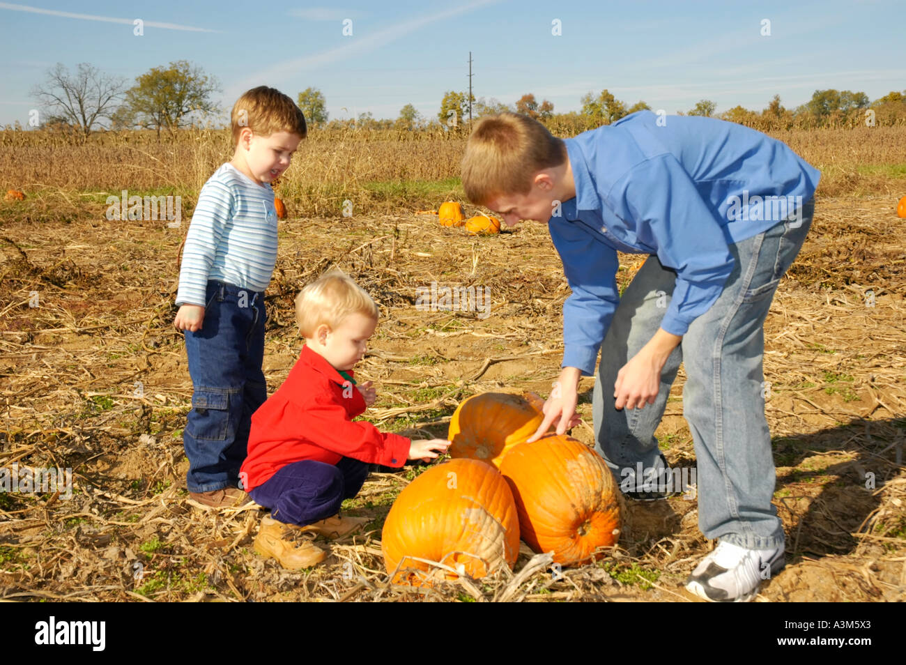 Three young boys at a fall farm event in the field choosing the best ...