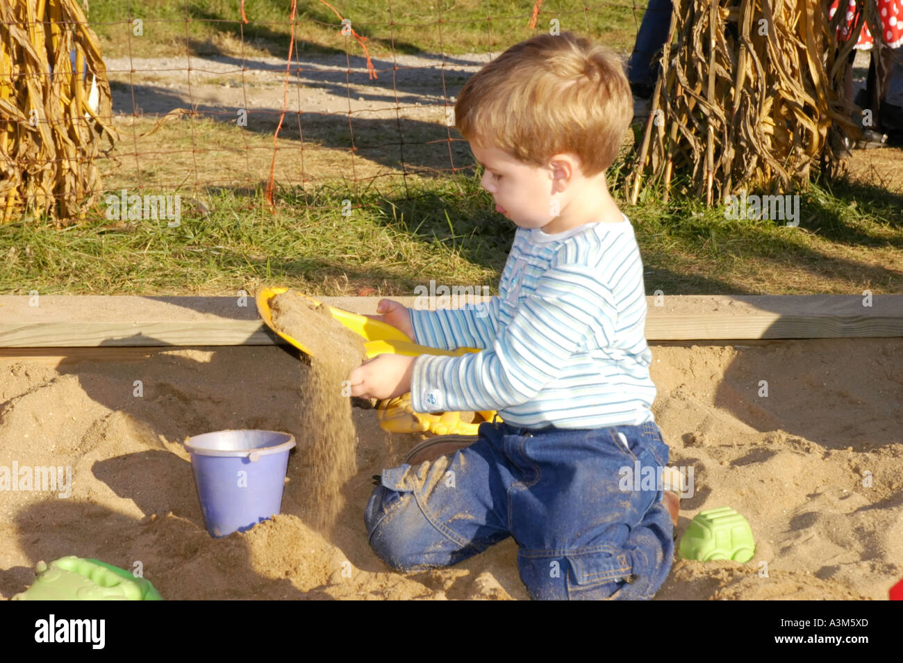 Young boy playing in a sandbox Stock Photo - Alamy