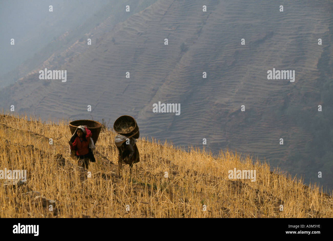 Chomrong village hi-res stock photography and images - Alamy