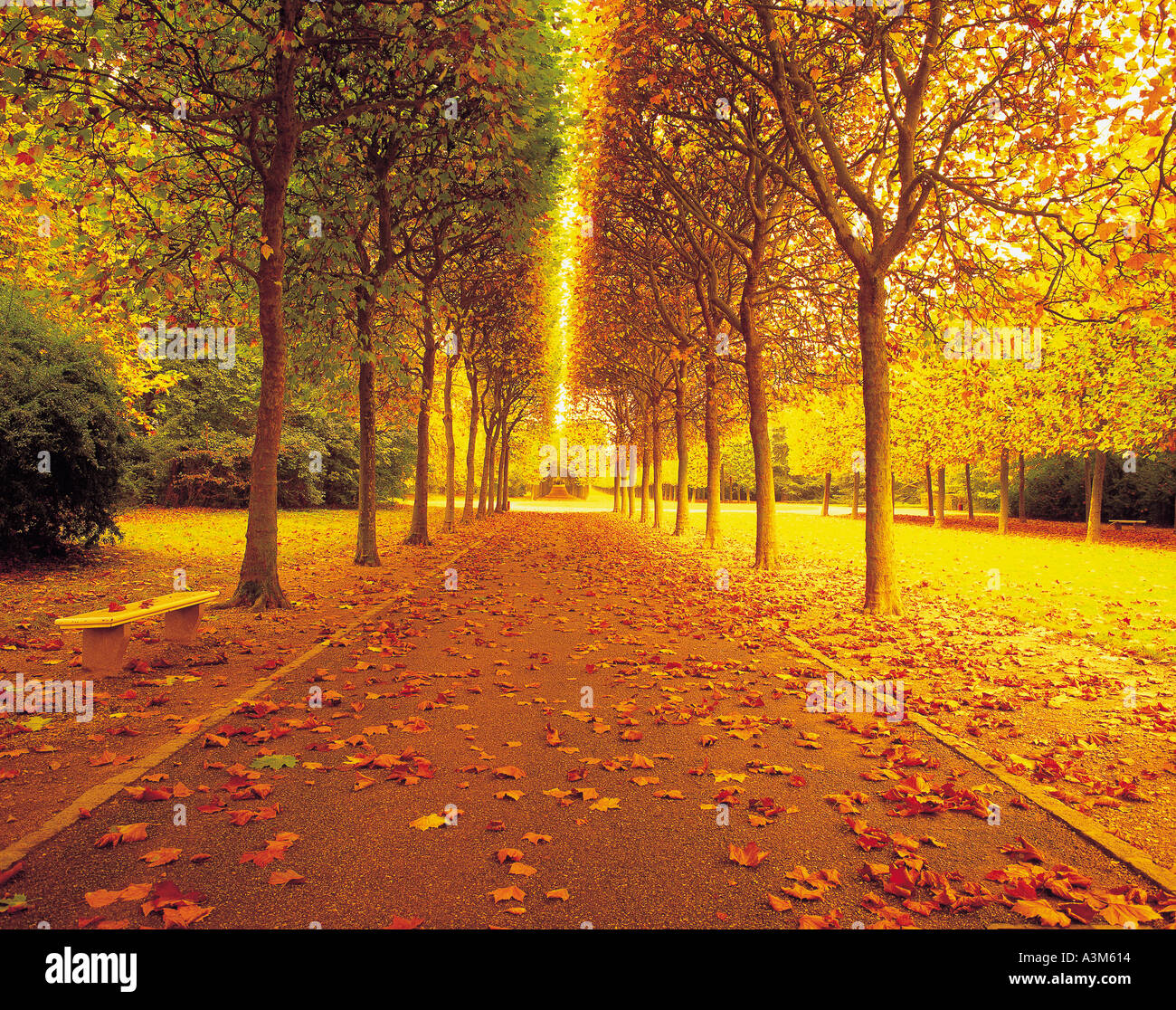 Nature Paths And Walkways