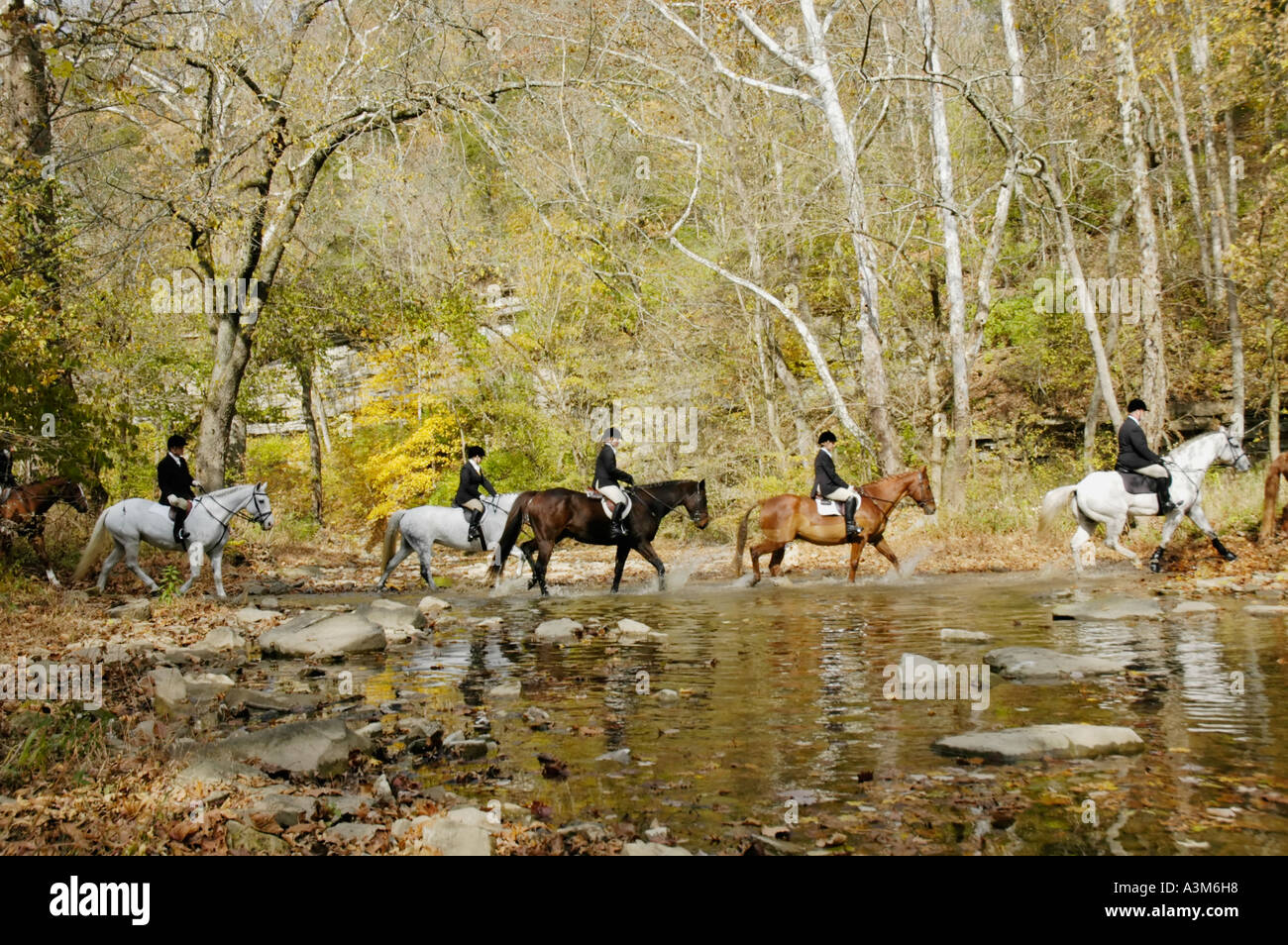 Foxhunters hi-res stock photography and images - Alamy