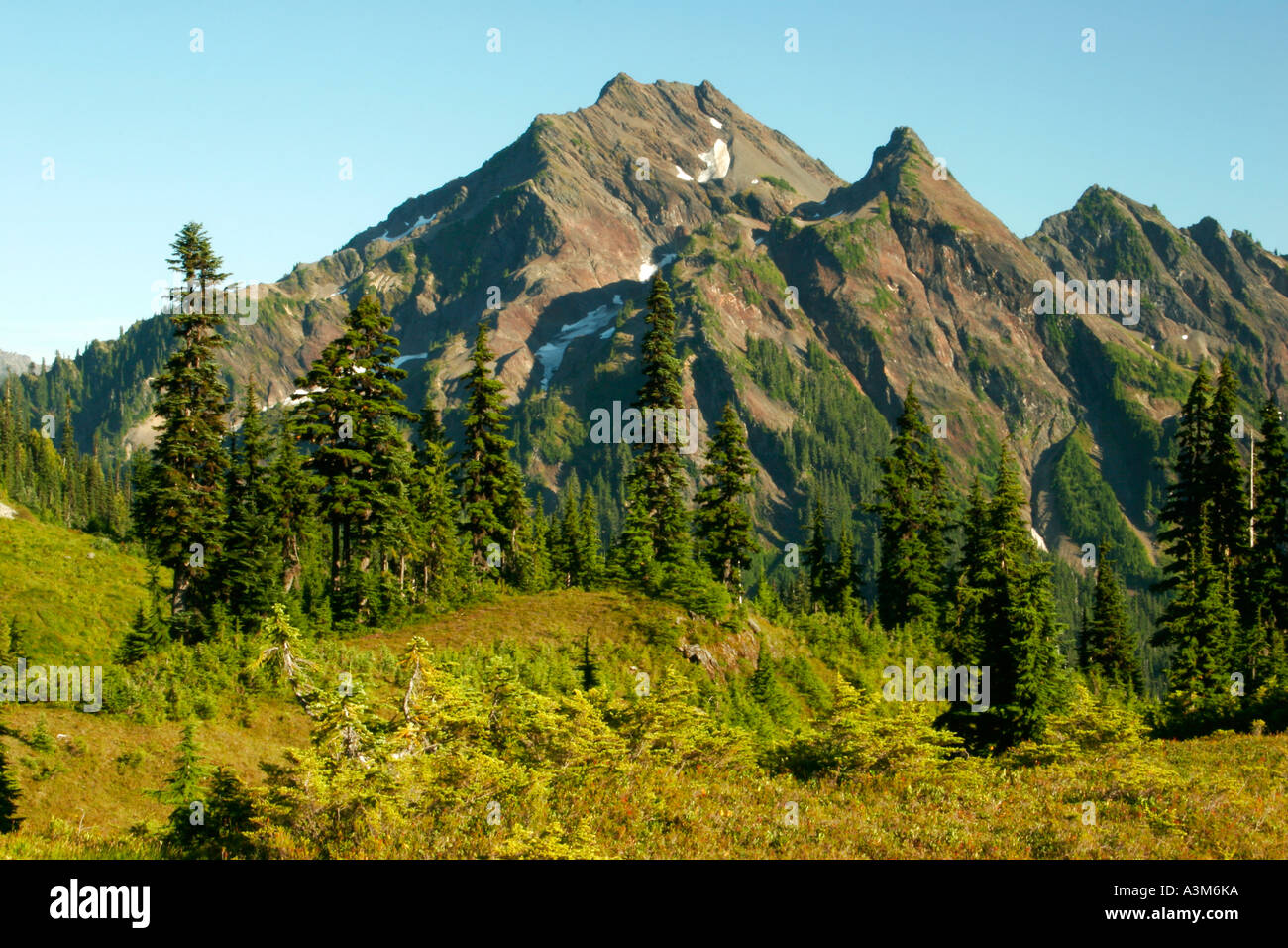 Mt Steel from LaCrosse Basin Olympic National Park Washington USA Stock ...