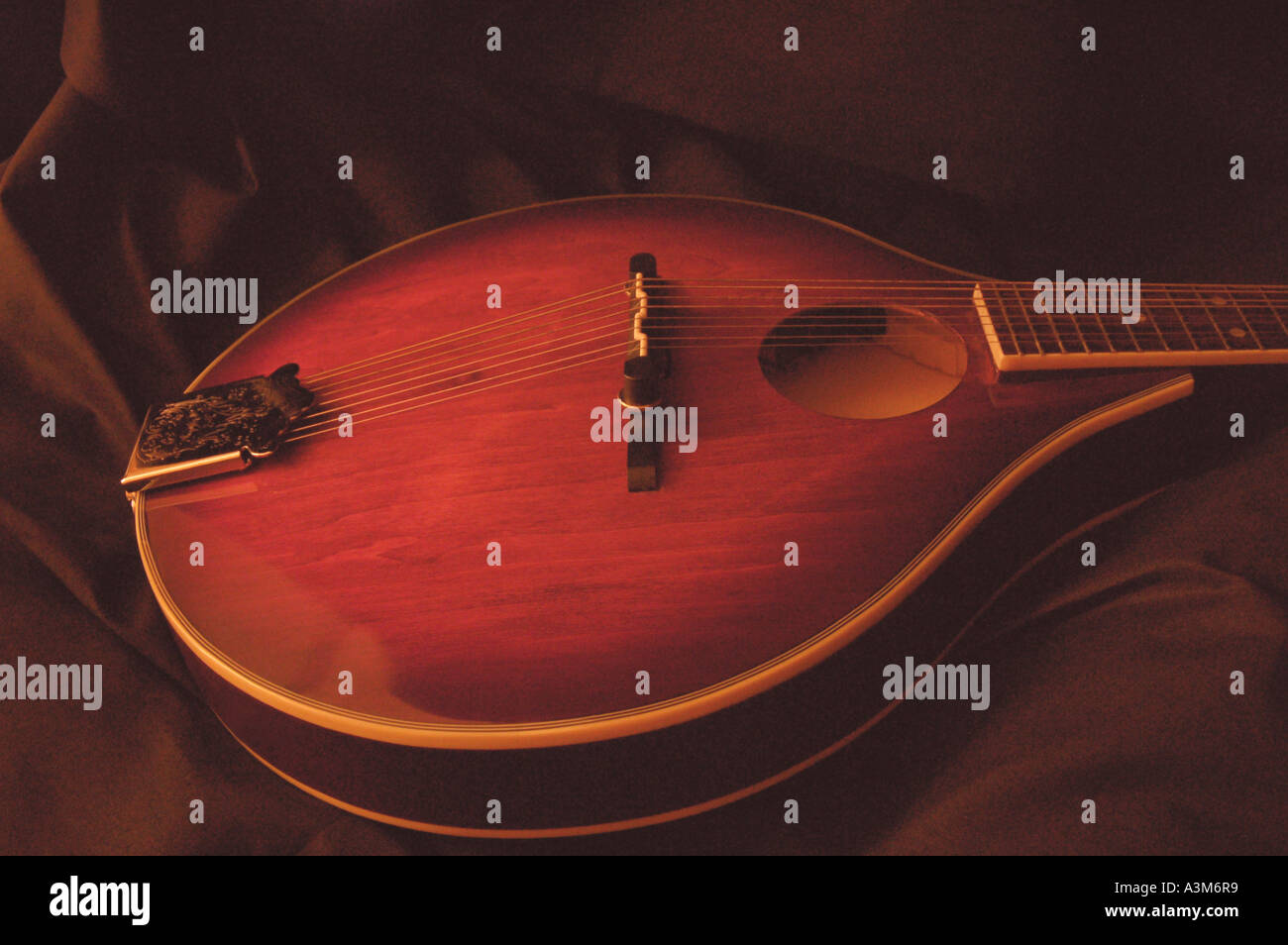 Mandolin bridge hi-res stock photography and images - Alamy