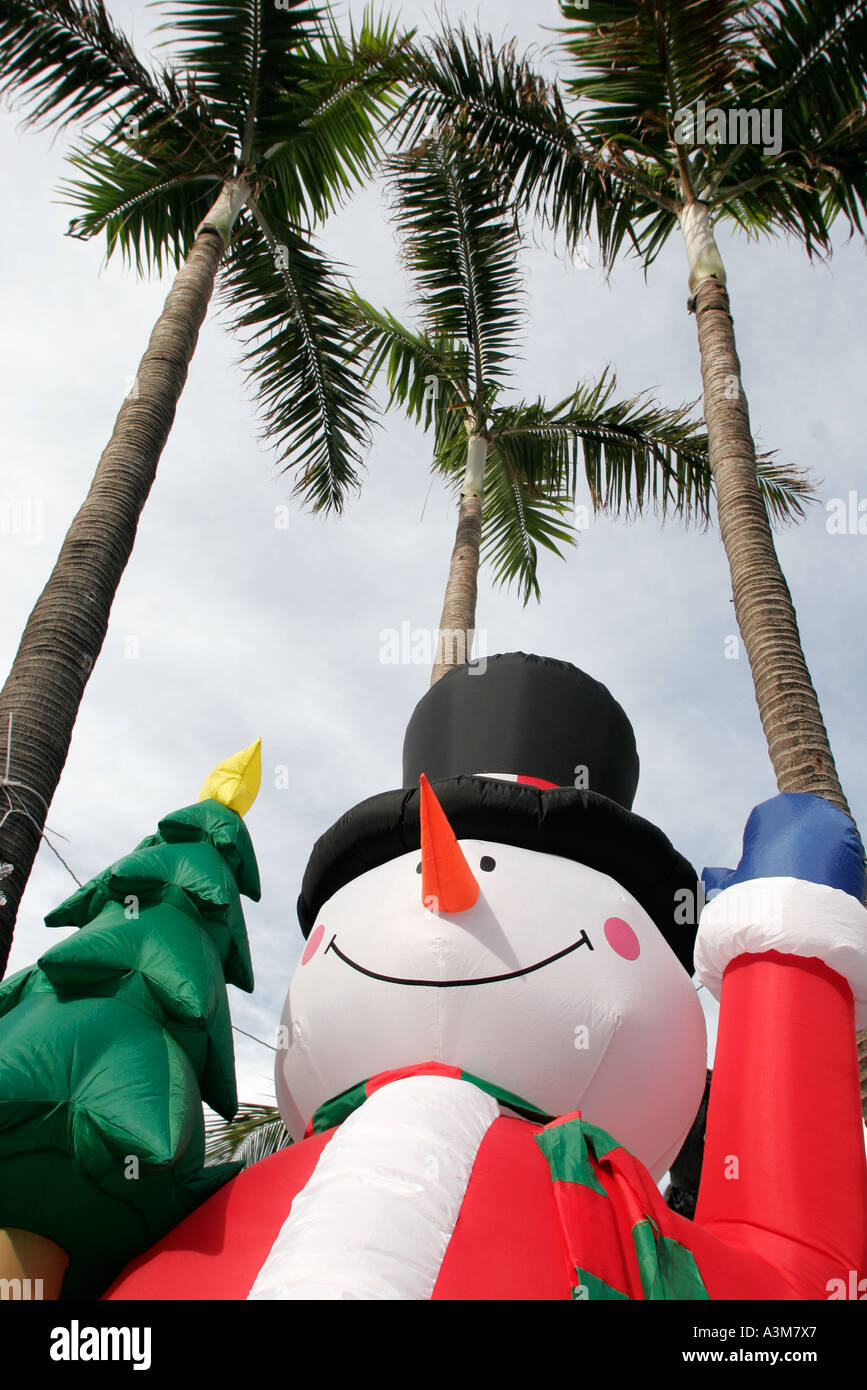Palm tree snowman hi-res stock photography and images - Alamy