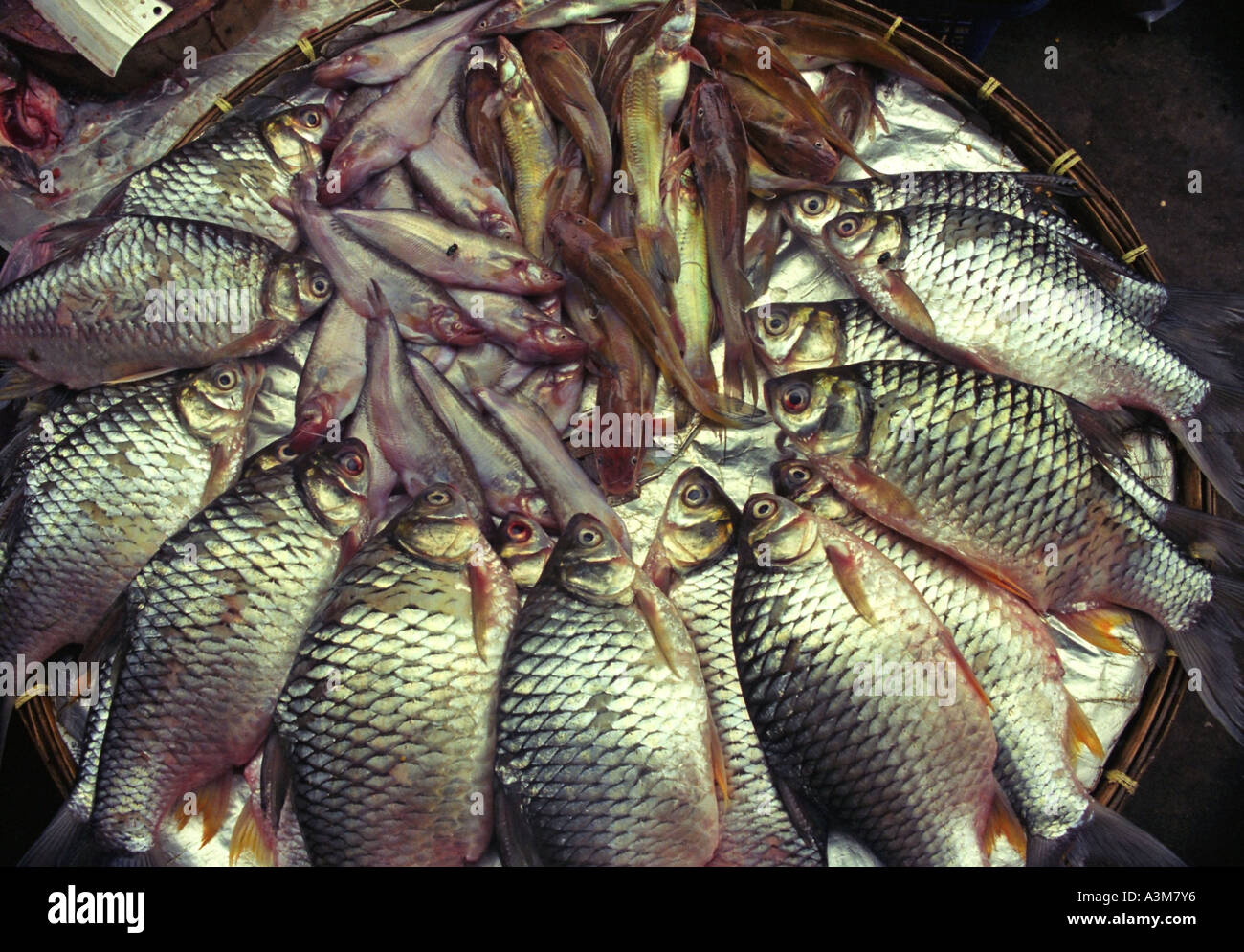 Fish shapes hi-res stock photography and images - Alamy