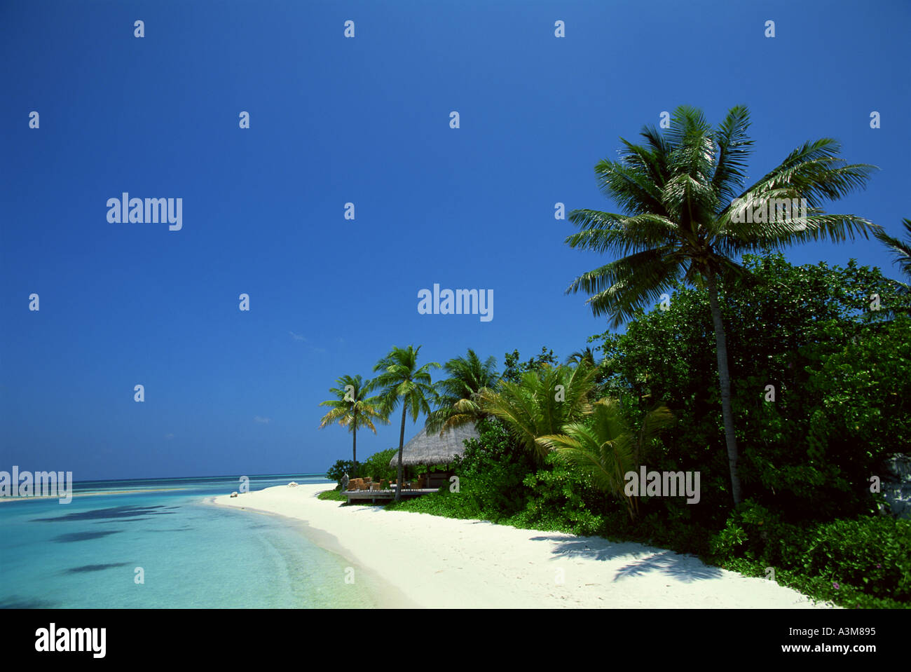 Nature Sea Ocean Stock Photo - Alamy