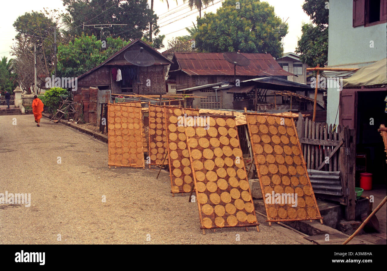 Rice cakes drying outside, Luang Prabang, Laos. DL7 Stock Photo - Alamy