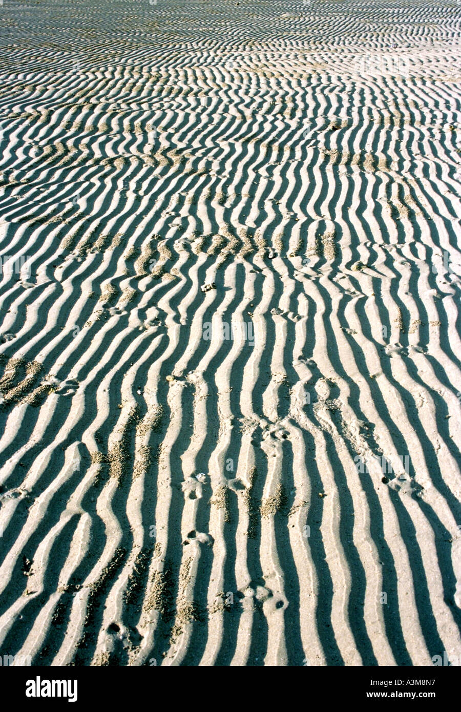 Sand ripple pattern on a beach in Thailand. DQ25a Stock Photo - Alamy