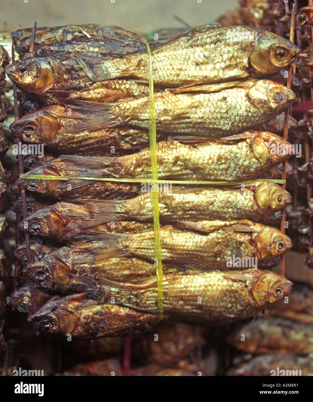 Dried fish in attractive packaging in the market, Phnom Penh, Camdodia ...
