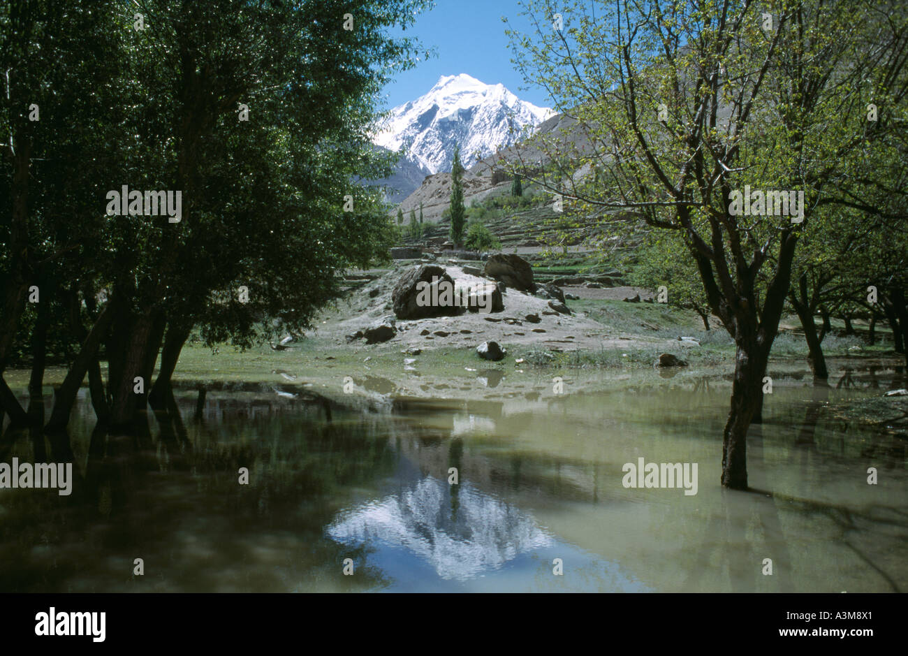 Hoper village, near Karimabad, Hunza district, Pakistan Stock Photo - Alamy