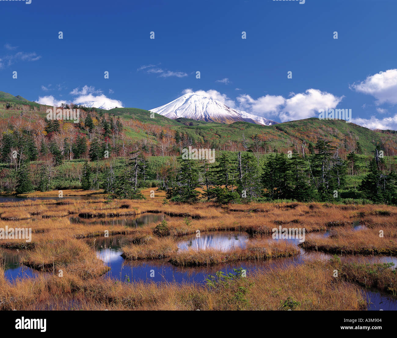Nature Earth Terra Land Landscape Stock Photo - Alamy