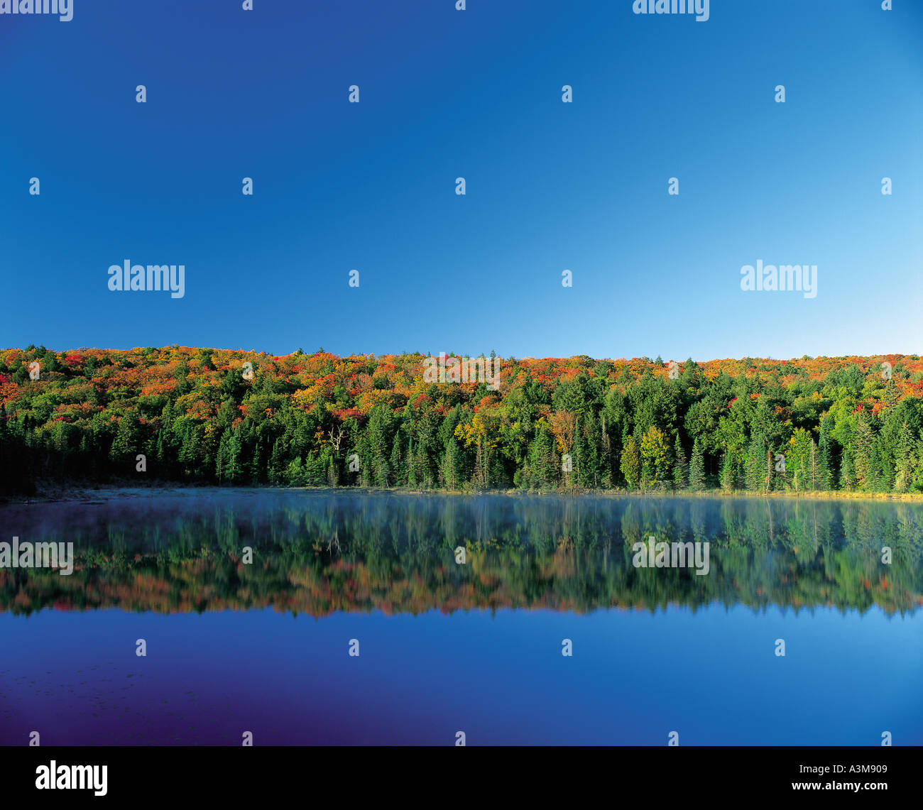 Nature Water Landscape Stock Photo - Alamy