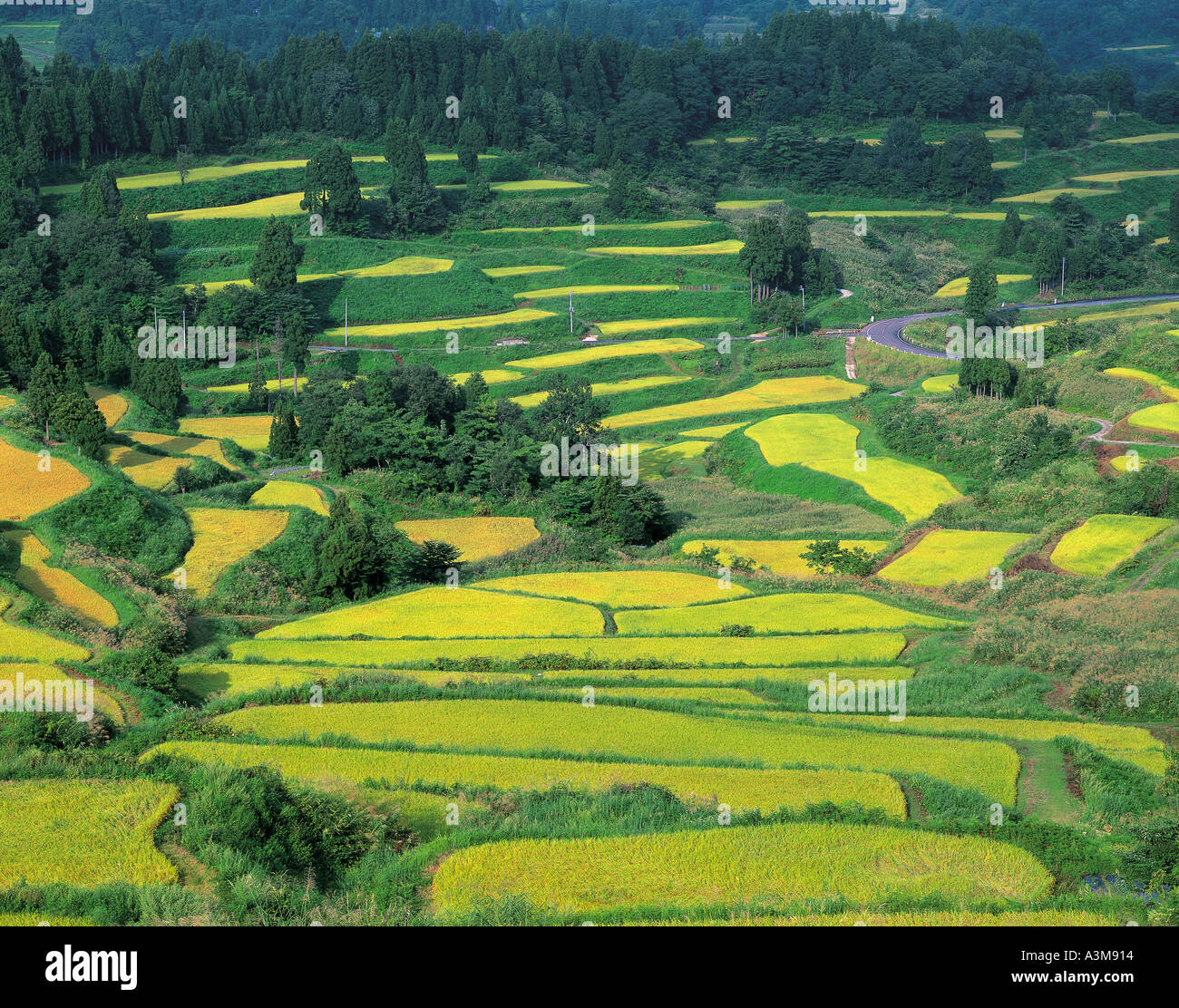 Nature Earth Terra Land Stock Photo - Alamy