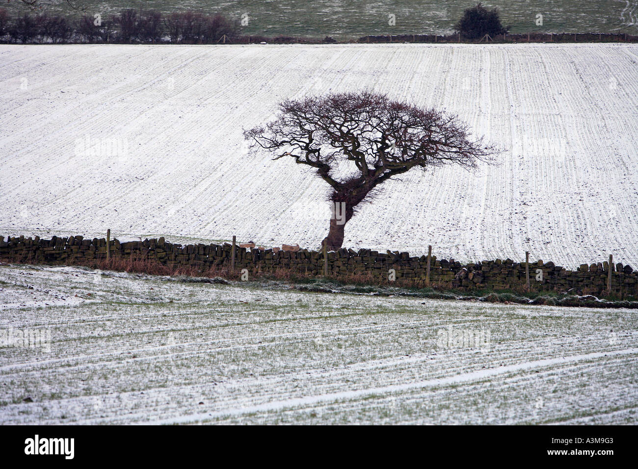Bleak winter snow scene yorkshire hi-res stock photography and images ...