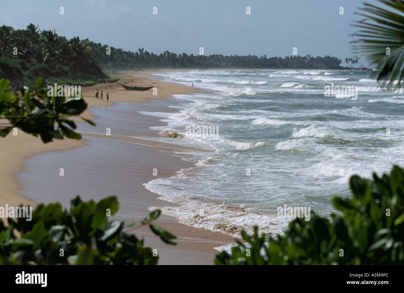Bentota beach in Sri Lanka Stock Photo - Alamy