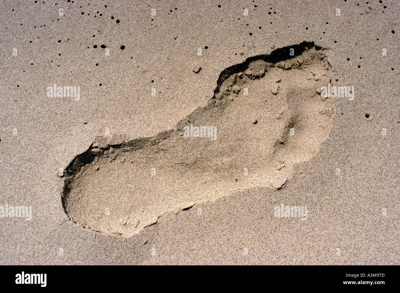 foot in sand Stock Photo - Alamy
