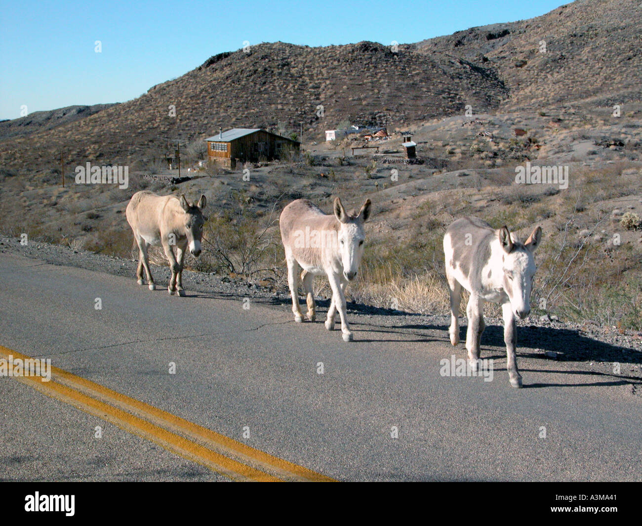 The old original Route 66, from Santa Monica California to Chicago ...