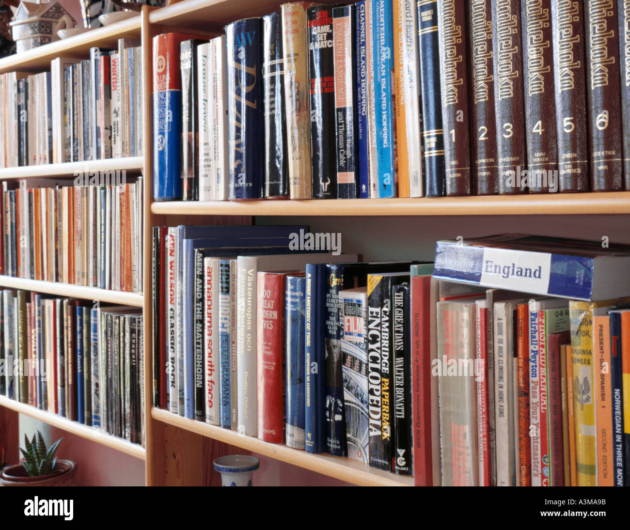 Books in a bookcase Stock Photo - Alamy
