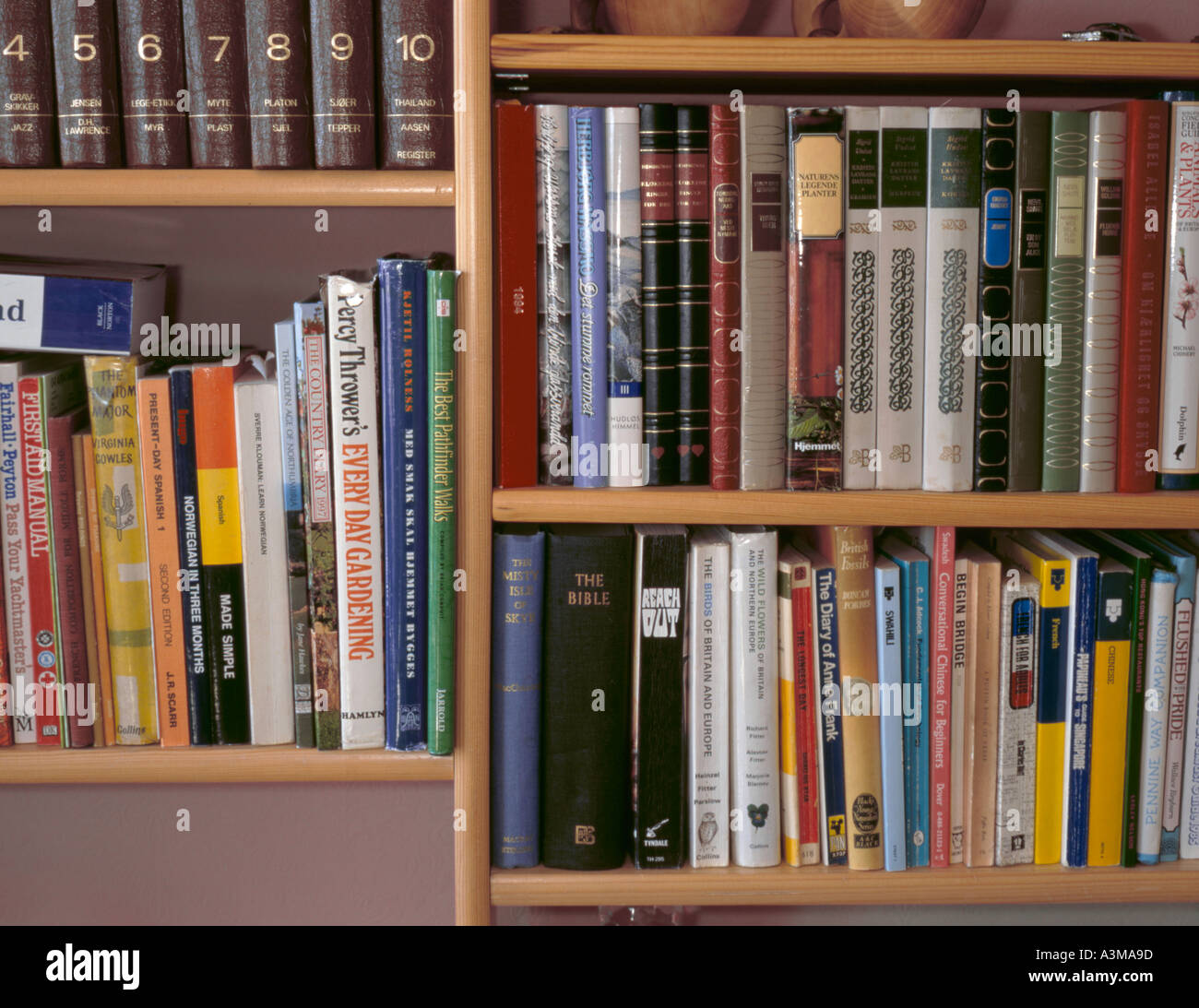 Books in a bookcase Stock Photo - Alamy