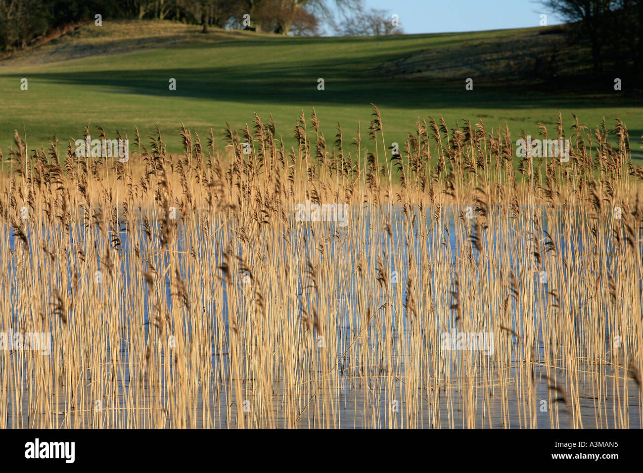 Frozen tarn hi-res stock photography and images - Alamy