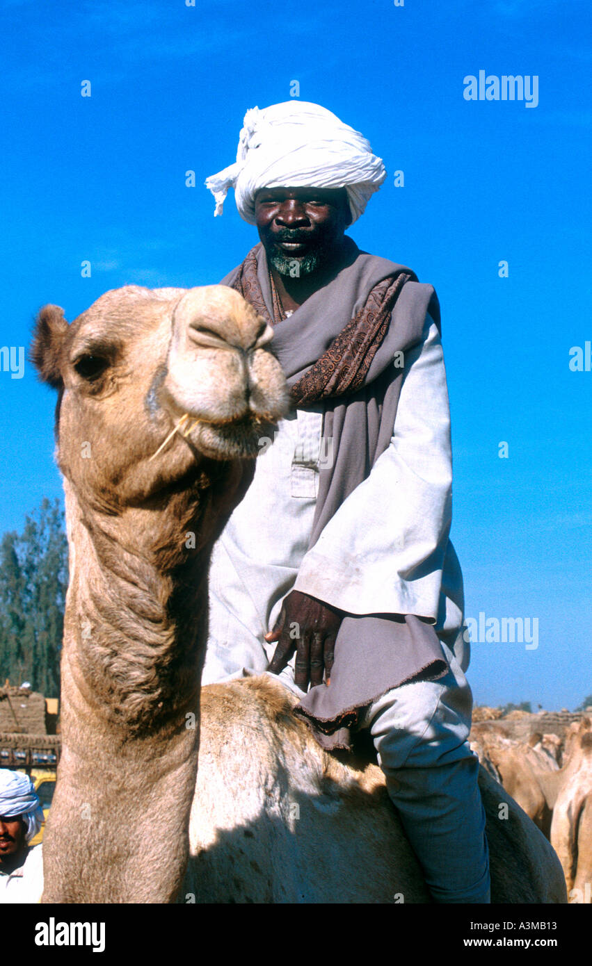 Camel sellers hi-res stock photography and images - Alamy