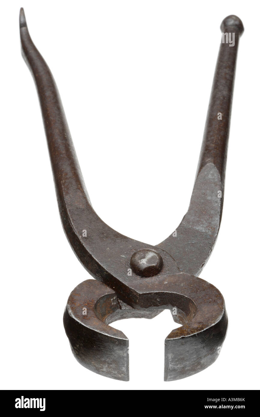 Sharp pincers hi-res stock photography and images - Alamy