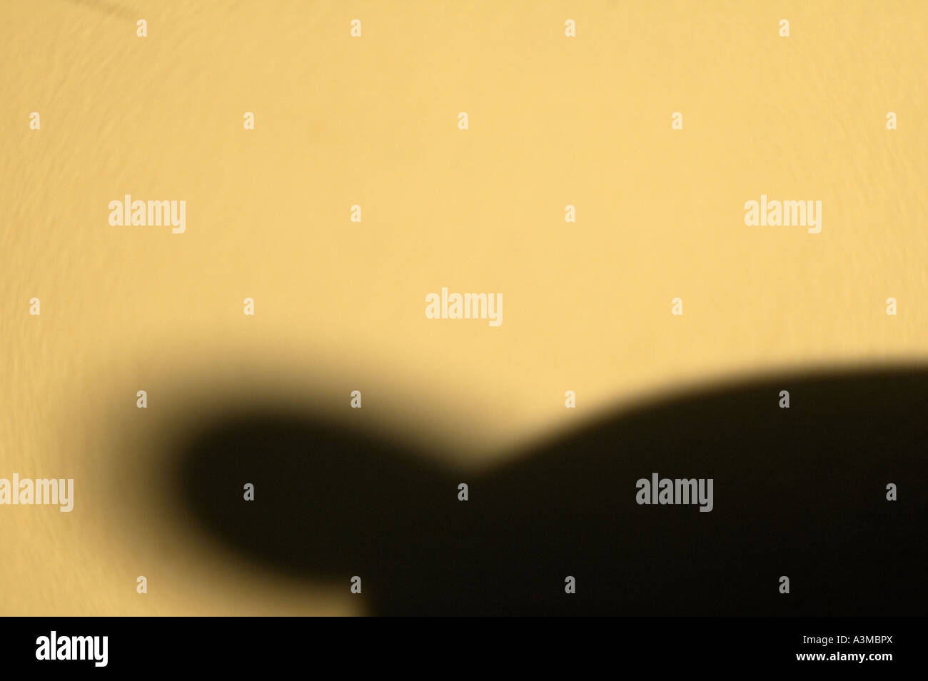unique shadow pattern Stock Photo - Alamy