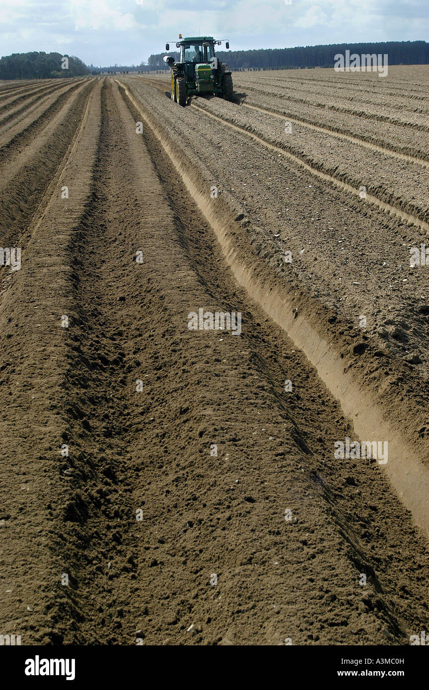 Tractor ploughing through field Stock Photo - Alamy