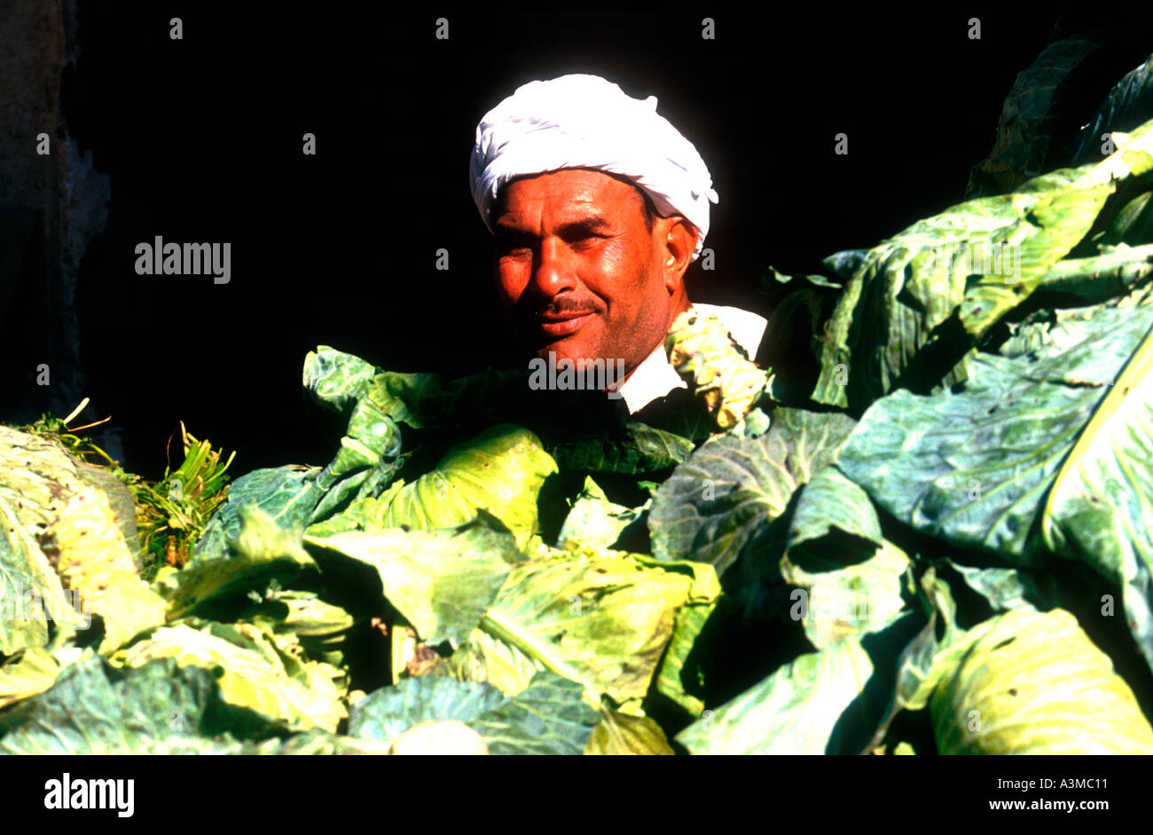 Cabbage stall and vendor at market Egypt Stock Photo - Alamy