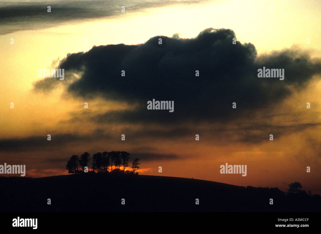 Wittenham clumps hi-res stock photography and images - Alamy