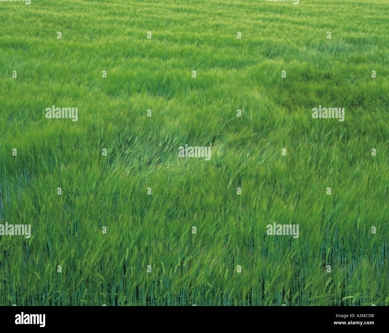 Nature Earth Terra Land Stock Photo - Alamy