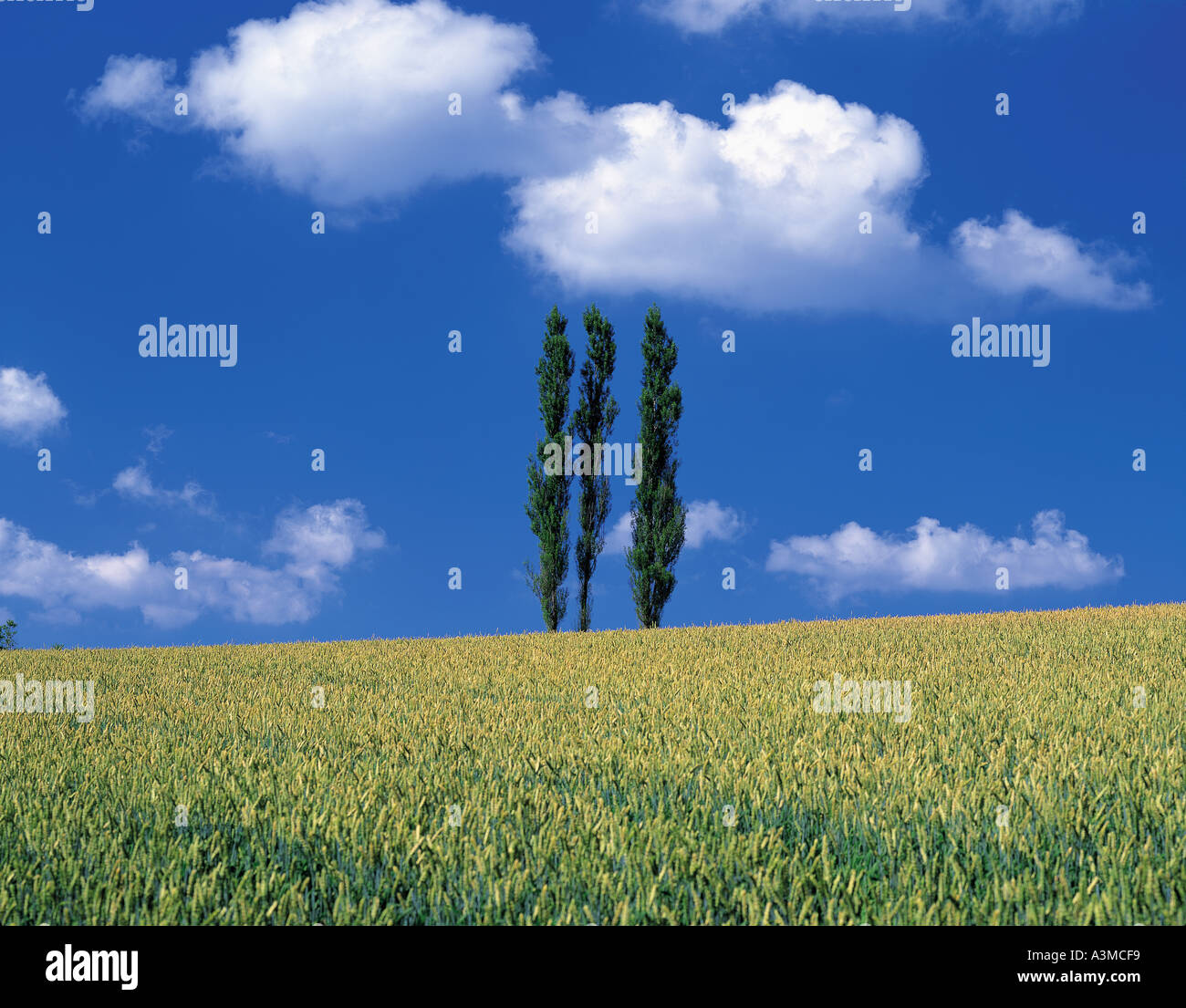 Nature Earth Terra Land Landscape Stock Photo - Alamy