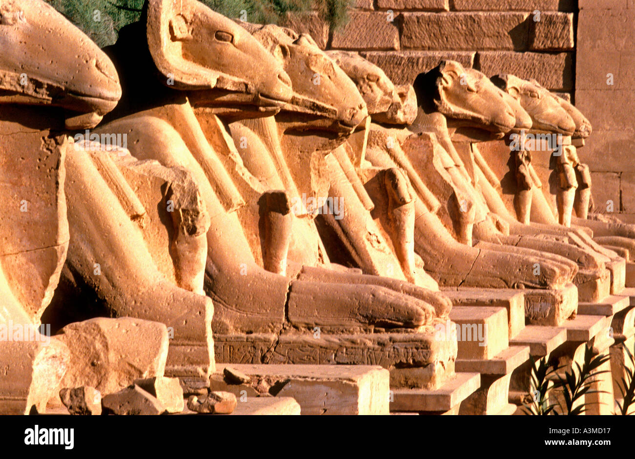 Egyptian sphinxes monuments hi-res stock photography and images - Alamy