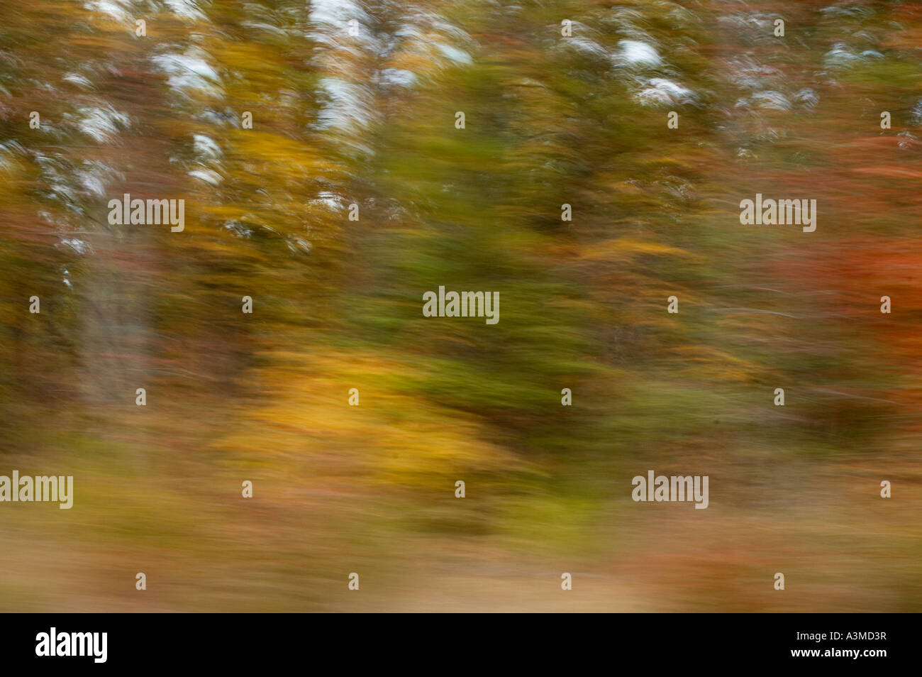 Autumn fall metaphor hi-res stock photography and images - Alamy
